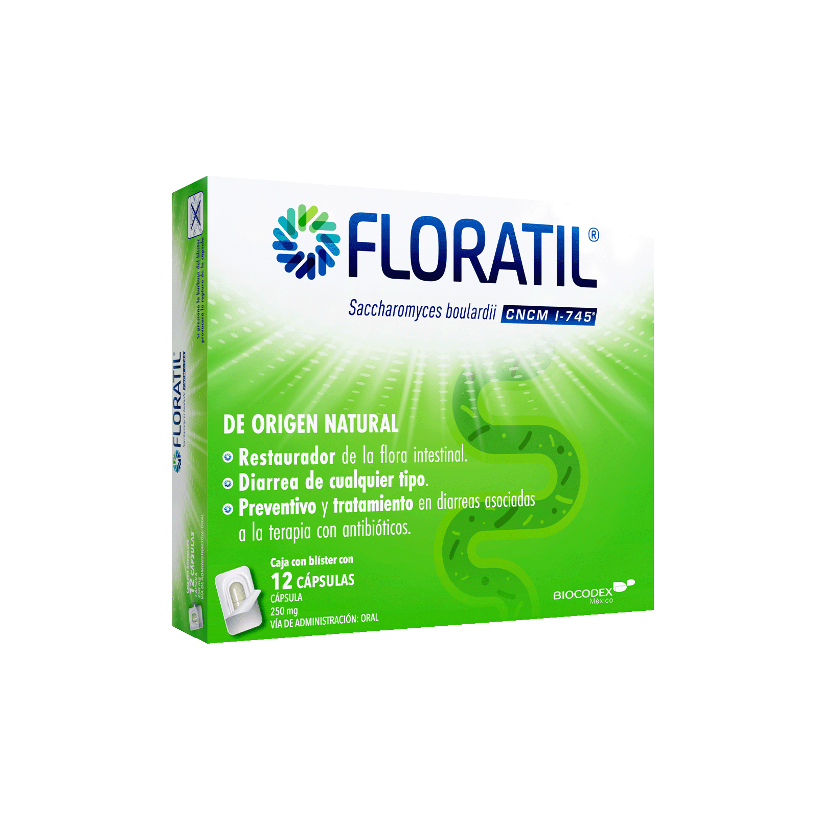 Floratil 250 mg 12 Capsulas - Farmacias Klyns
