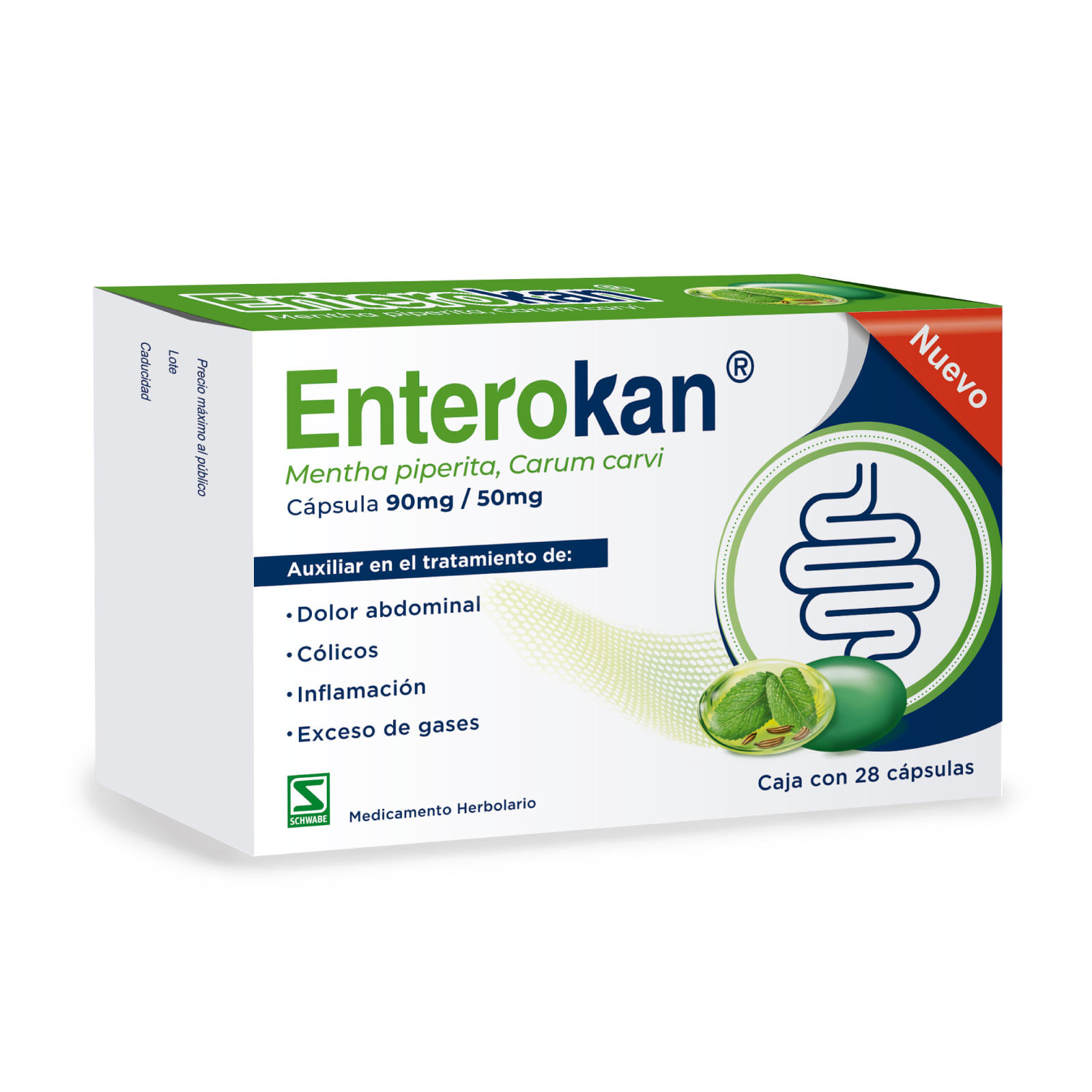 Enterokan Suplemento Alimenticio 90 mg / 50 mg 28 Capsulas - Farmacias ...